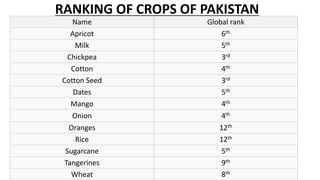 Agriculture Sector of Pakistan | PPTX