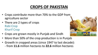Agriculture Sector of Pakistan | PPTX