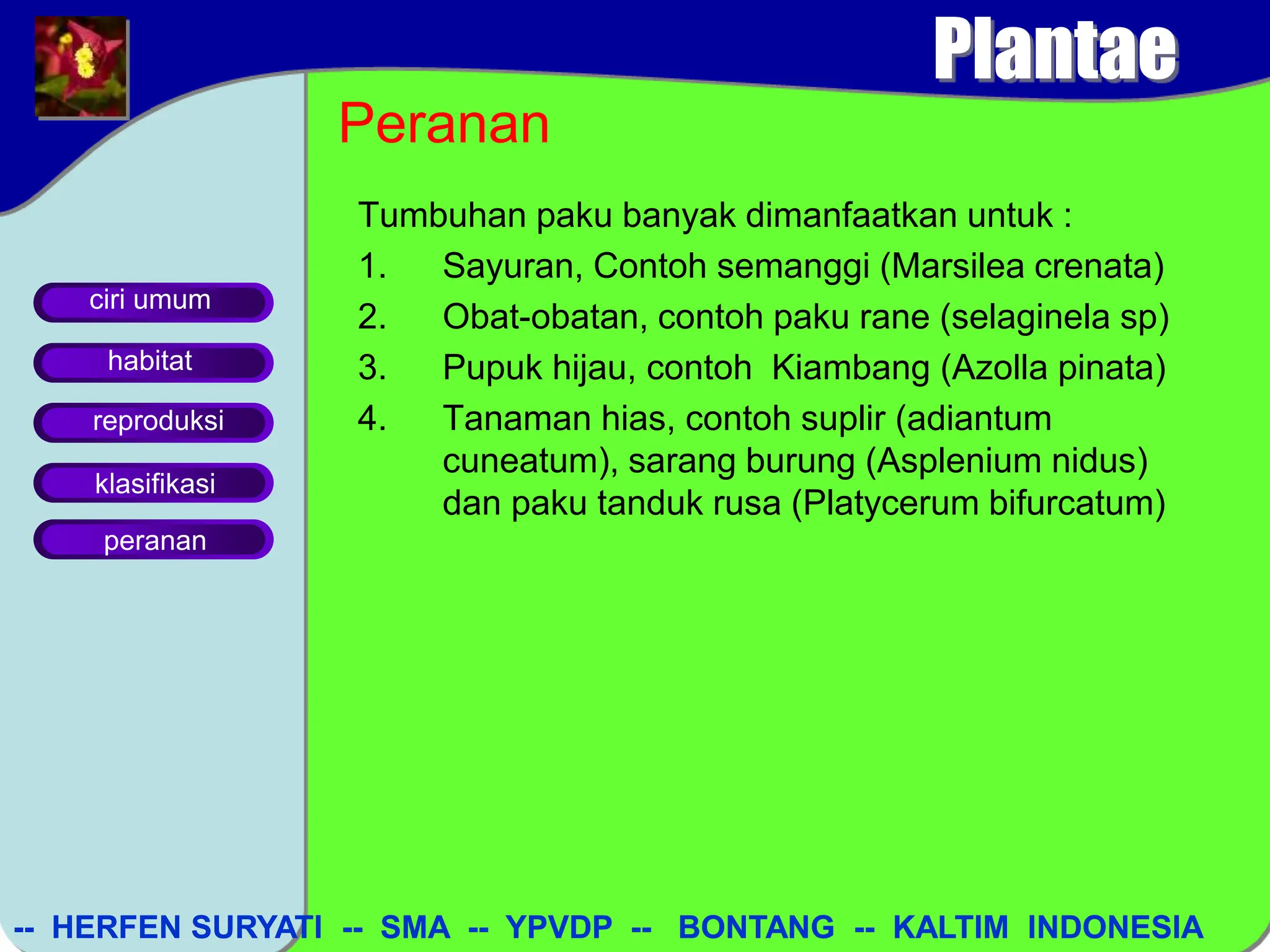 bahan ajar biologi kelas x sma tentang paku | PPT
