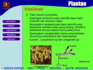 bahan ajar biologi kelas x sma tentang paku | PPT