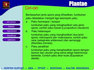 bahan ajar biologi kelas x sma tentang paku | PPT