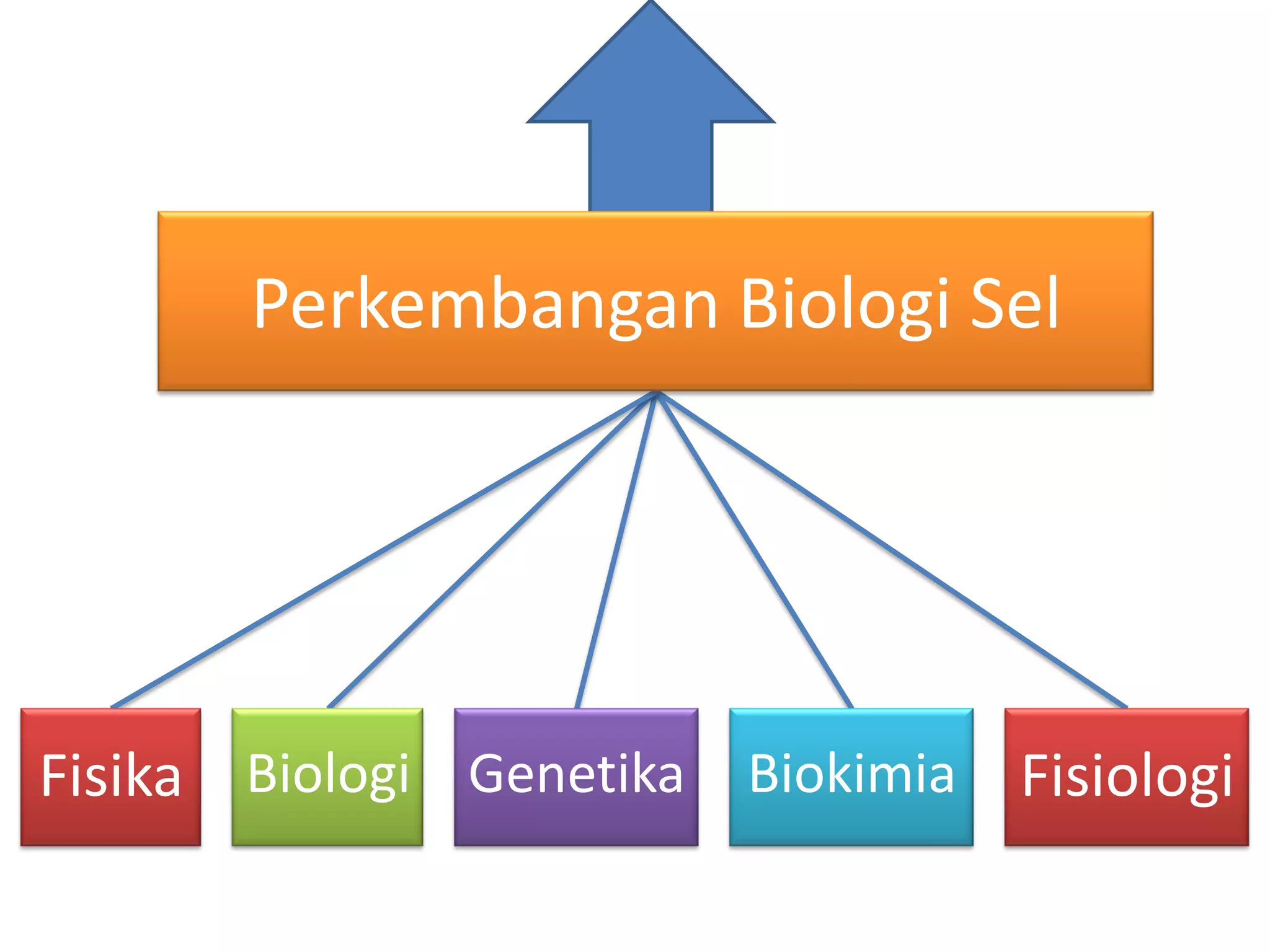 Sifat fisika dan kimia sel serta cara menganalisa sel | PDF