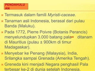 Pala, agen halusinogen | PPTX