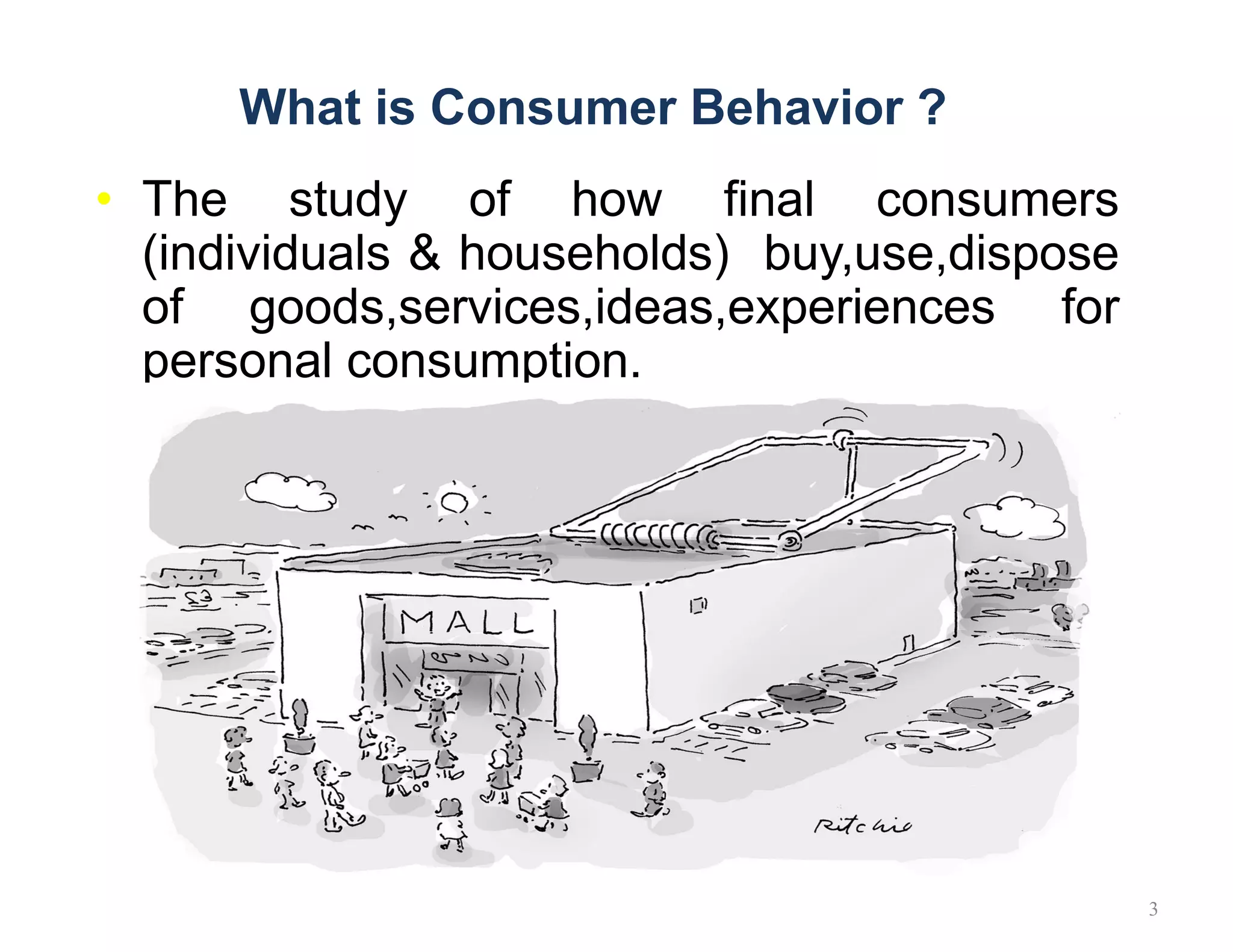 consumer behaviour basics | PDF | Business and Finance