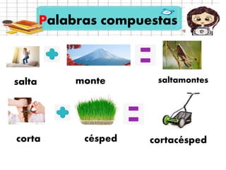 Palabras compuestas 2 feb | PPT
