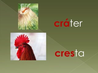 Palabras con Cr | PPTX