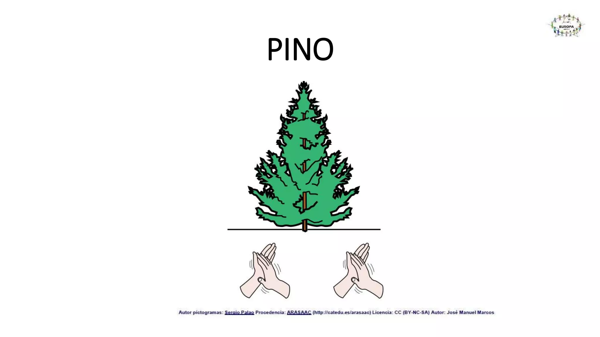 Palabras con N | PPTX