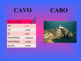 Palabras homófonas | PPT