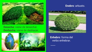 Palabras homófonas y homógrafas | PPTX
