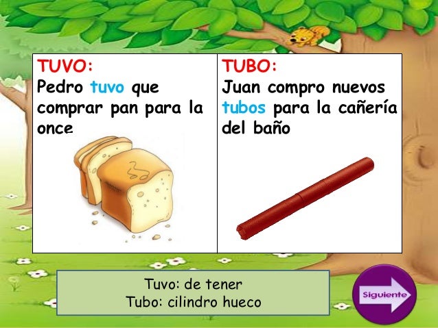 Palabras homofonas tic vf