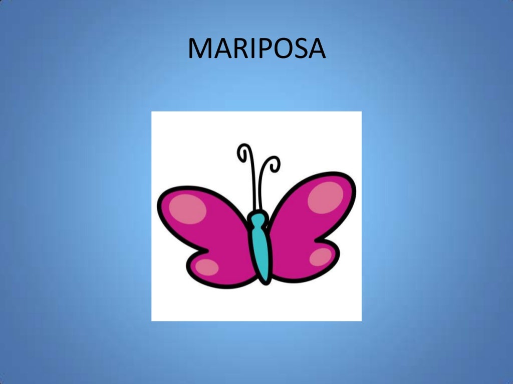 Palabras polisílabas