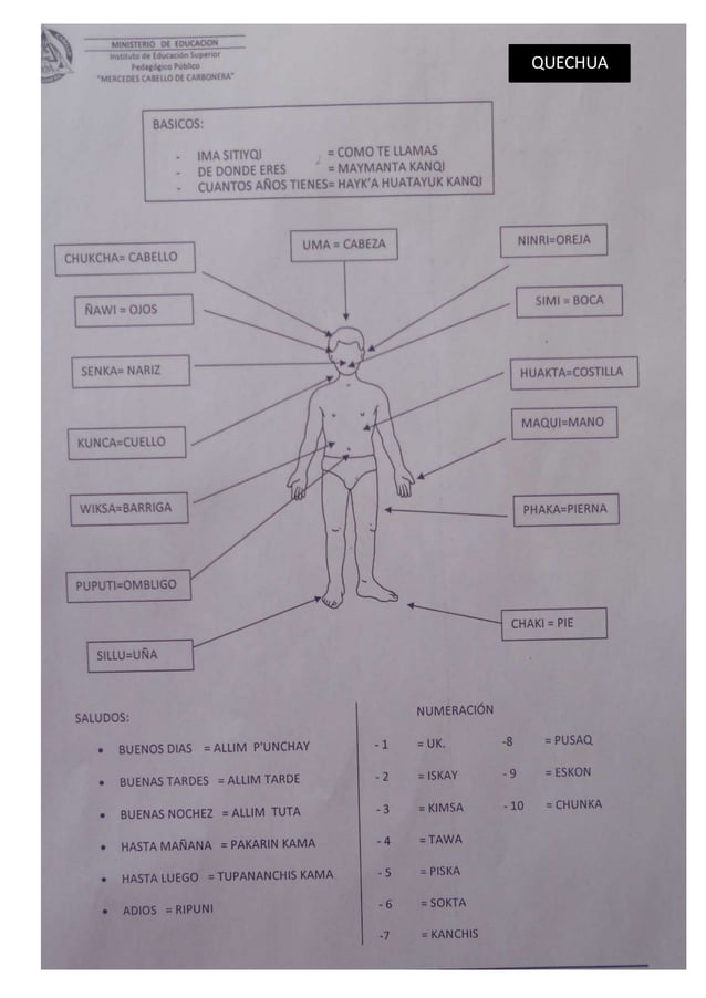 Palabras quechua aymara 2014 | PDF