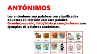 palabras sin y ant..pptx