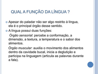 Paladar | PPTX