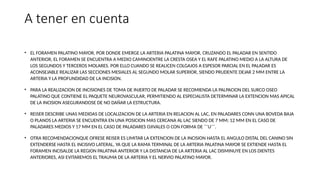 PALADAR - anatomia de cabeza y cuello implantologia | PPTX