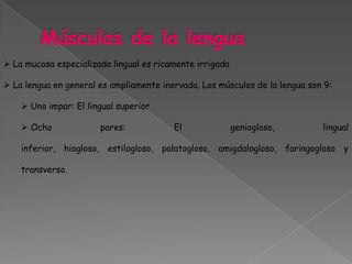 paladar y lengua | PPTX