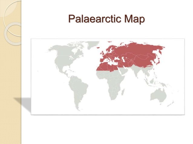 Palaearctic region | PPTX | Birds | Pets