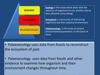 Palaeoecology | PPTX