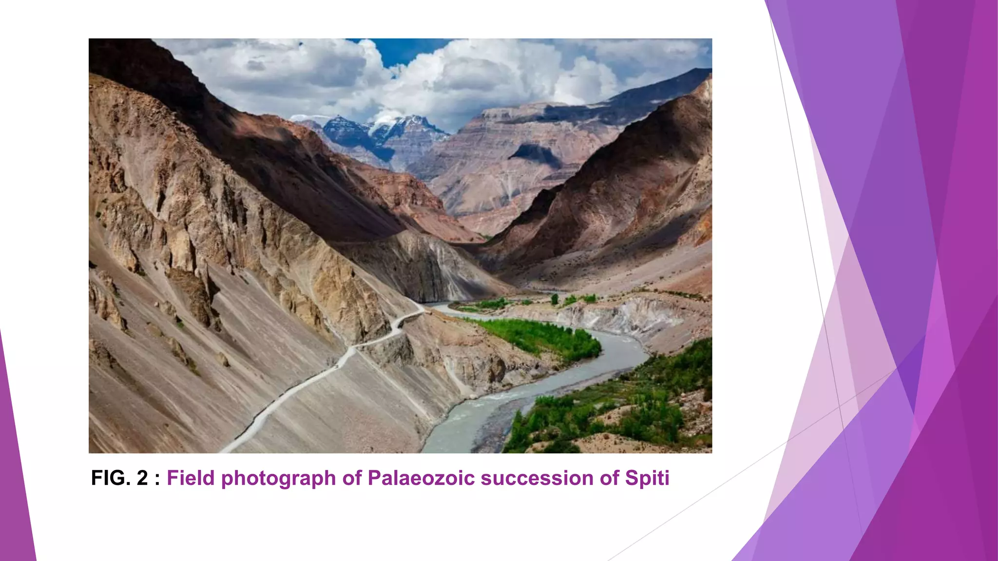 PALAEOZOIC SUCCESSION OF SPITI.pptx