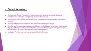PALAEOZOIC SUCCESSION OF SPITI.pptx