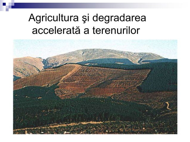 Hazarde antropogene palamariu-mocanu-pentiuc.ppt