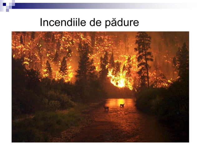 Hazarde antropogene palamariu-mocanu-pentiuc.ppt