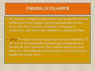 Palampur | PPTX