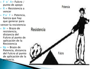 Palancas en el aparato locomotor | PPTX