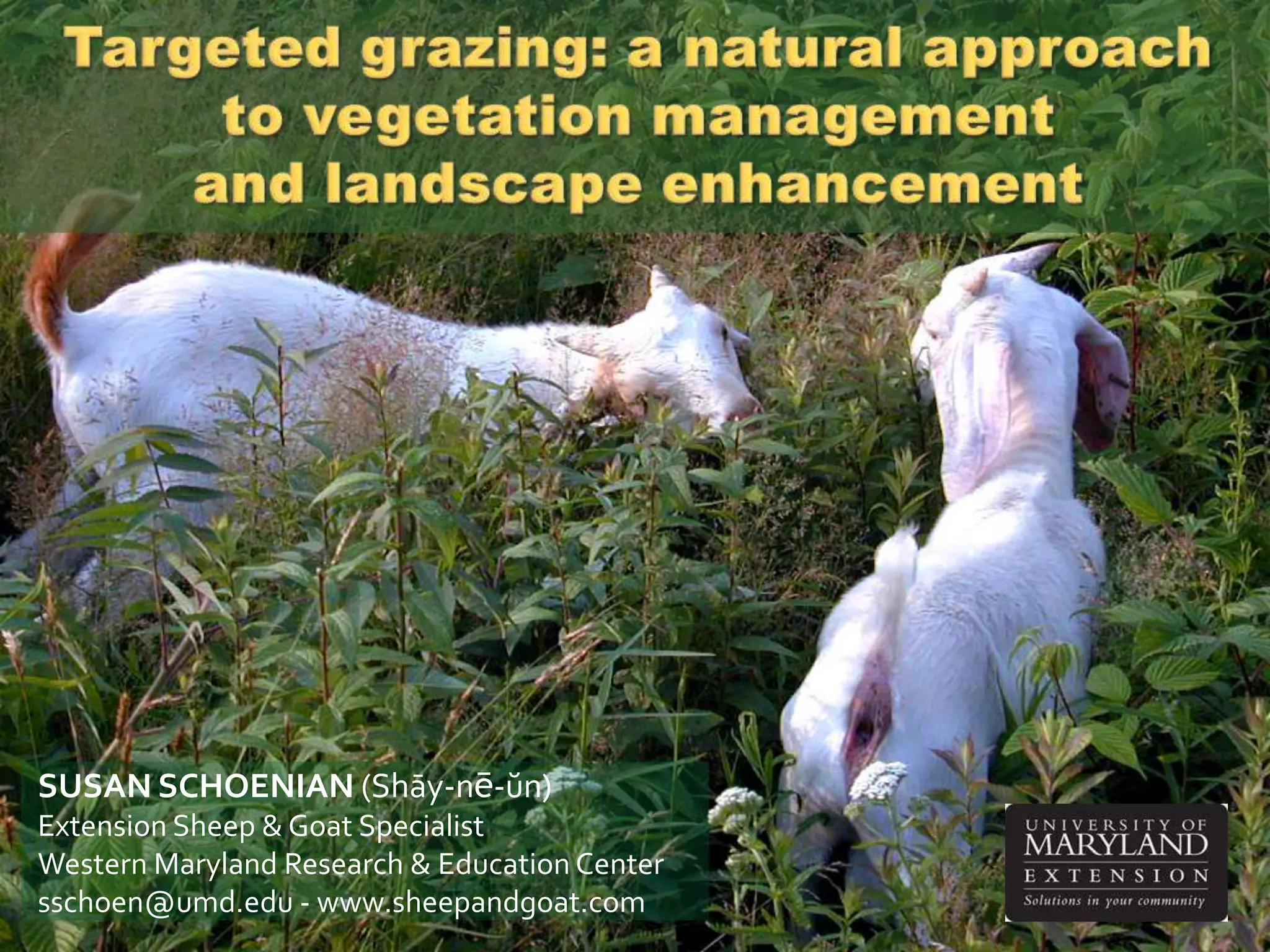 Targeted grazing | PPTX