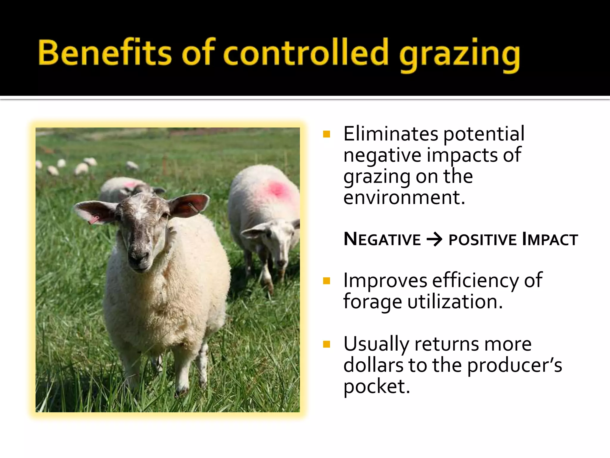 Targeted grazing | PPTX