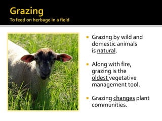 Targeted grazing | PPTX