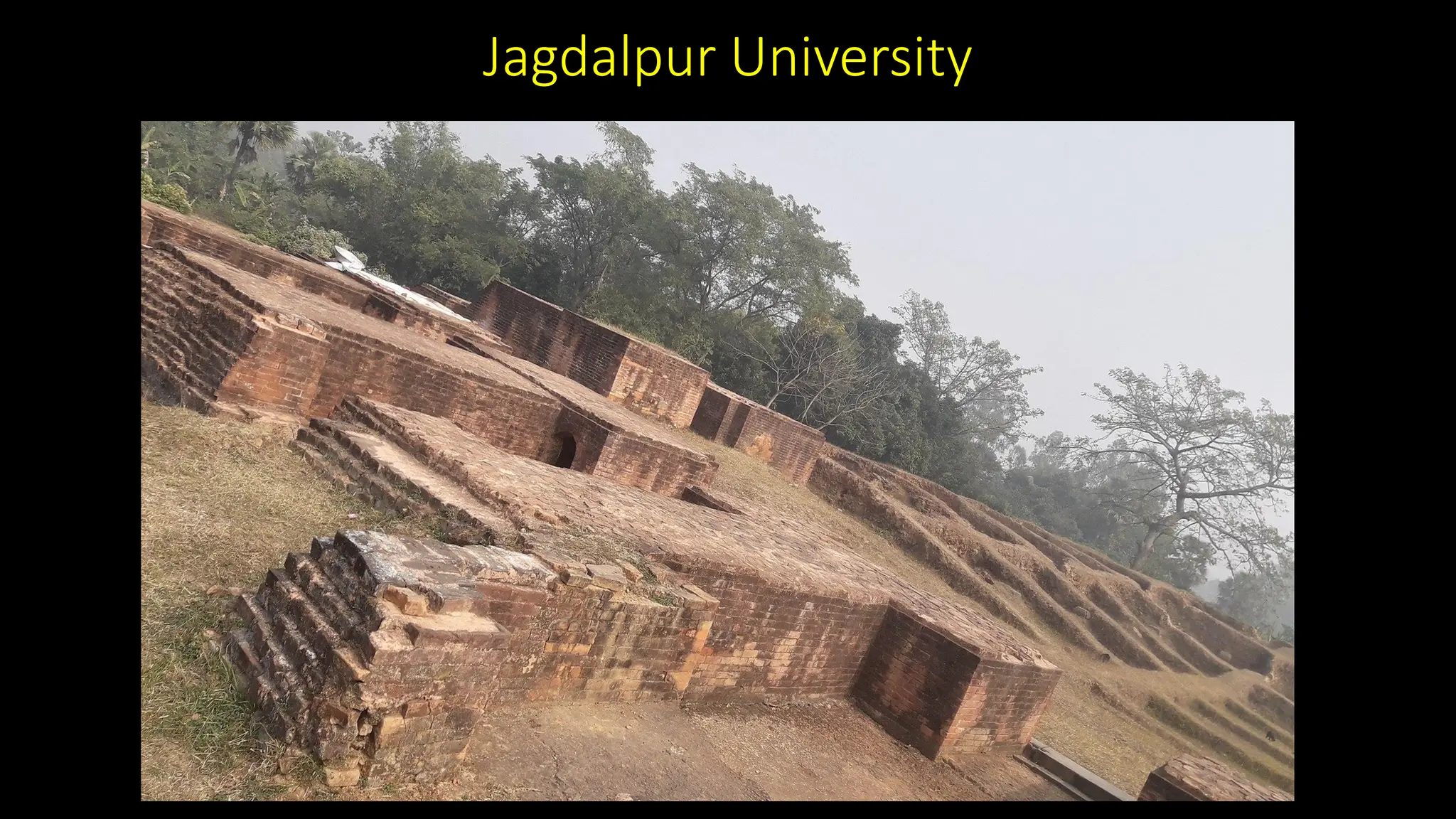 THE DYNASTIC HISTORY OF PALA KINGS OF BENGAL | PDF