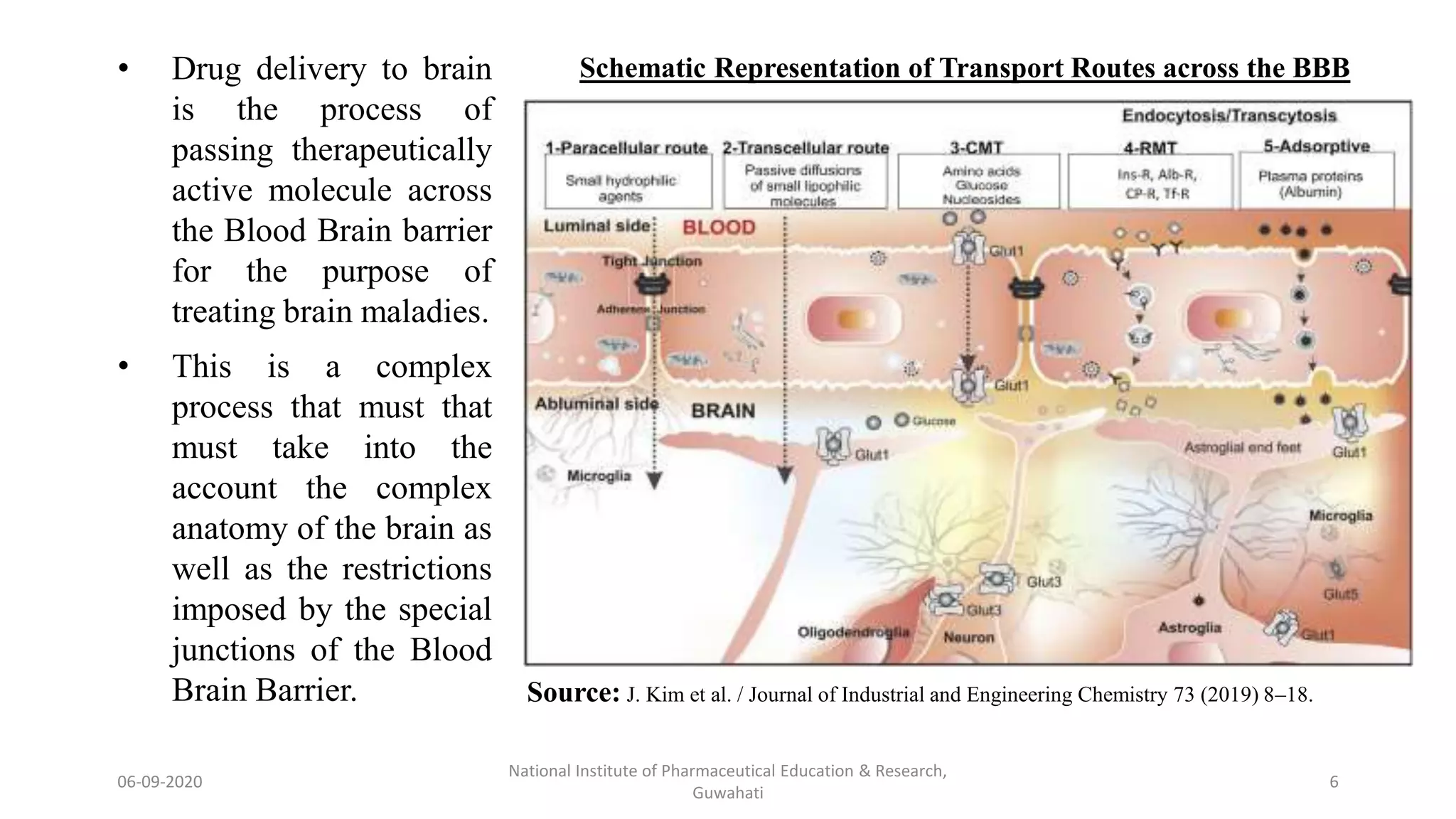 Ideal carrier system for Brain Targeting | PPT