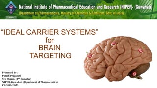 Ideal carrier system for Brain Targeting | PPT