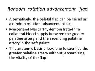 Palatal island flap | PPTX