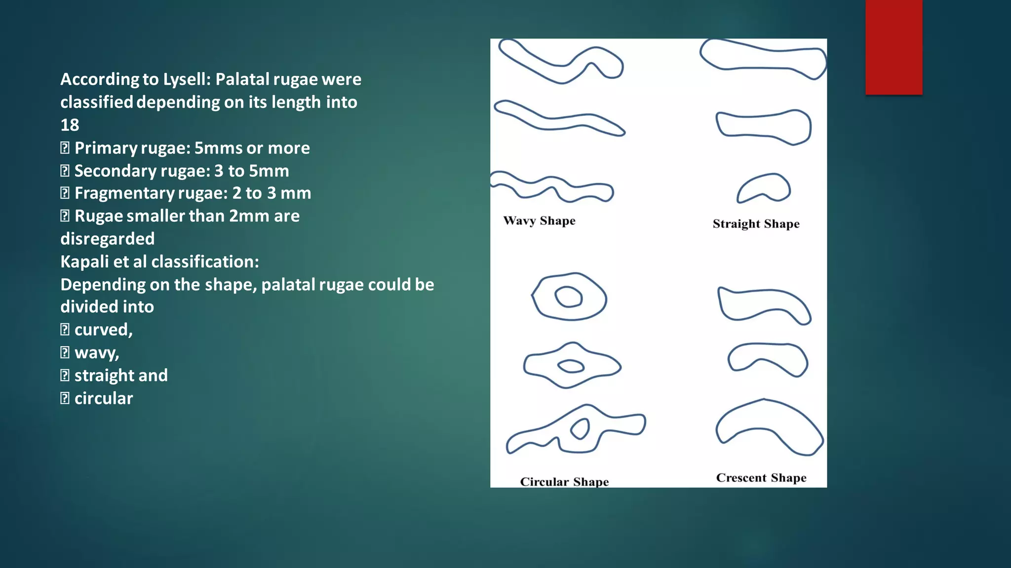 PALATAL RUGAE IN FORENSIC ODONTOLOGY | PDF