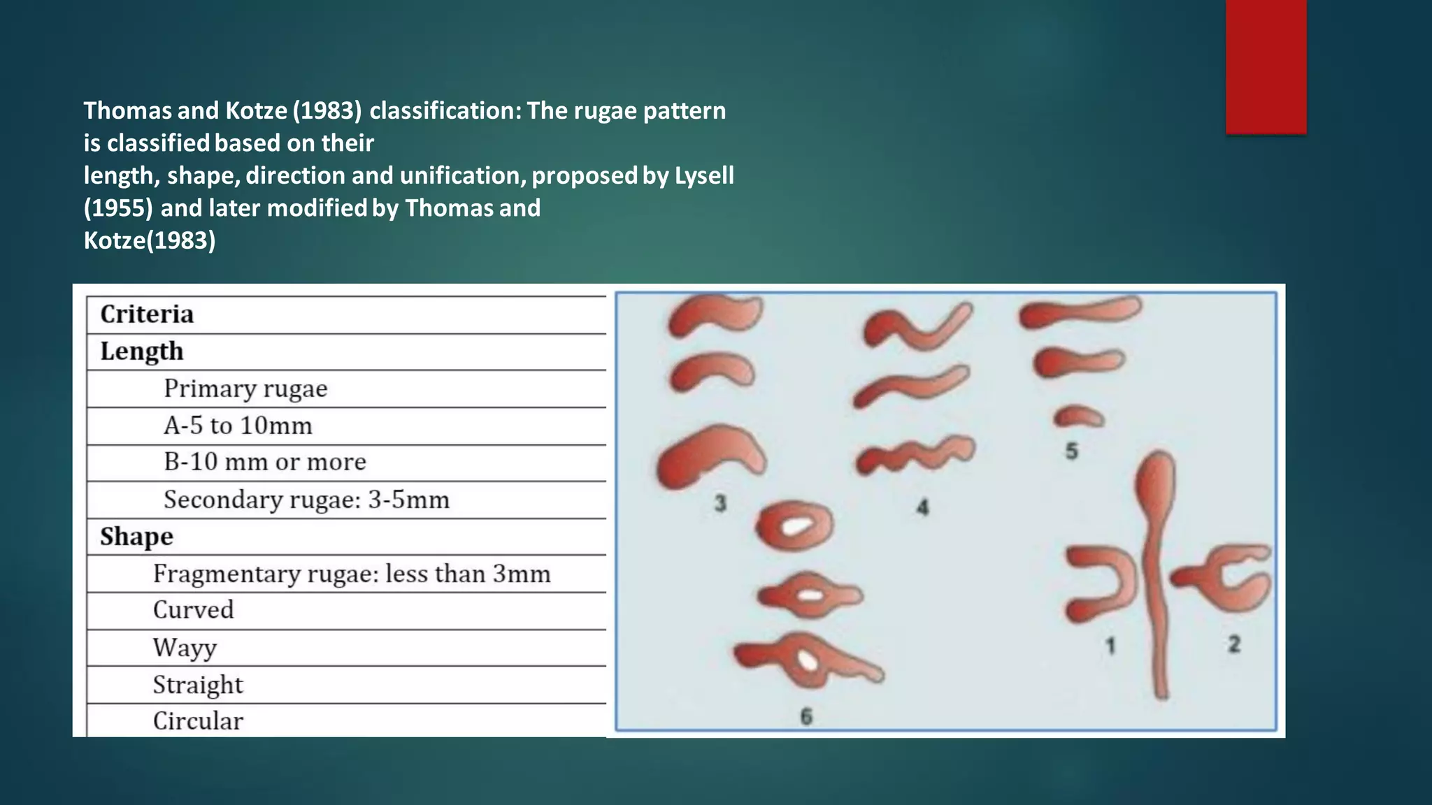 PALATAL RUGAE IN FORENSIC ODONTOLOGY | PDF