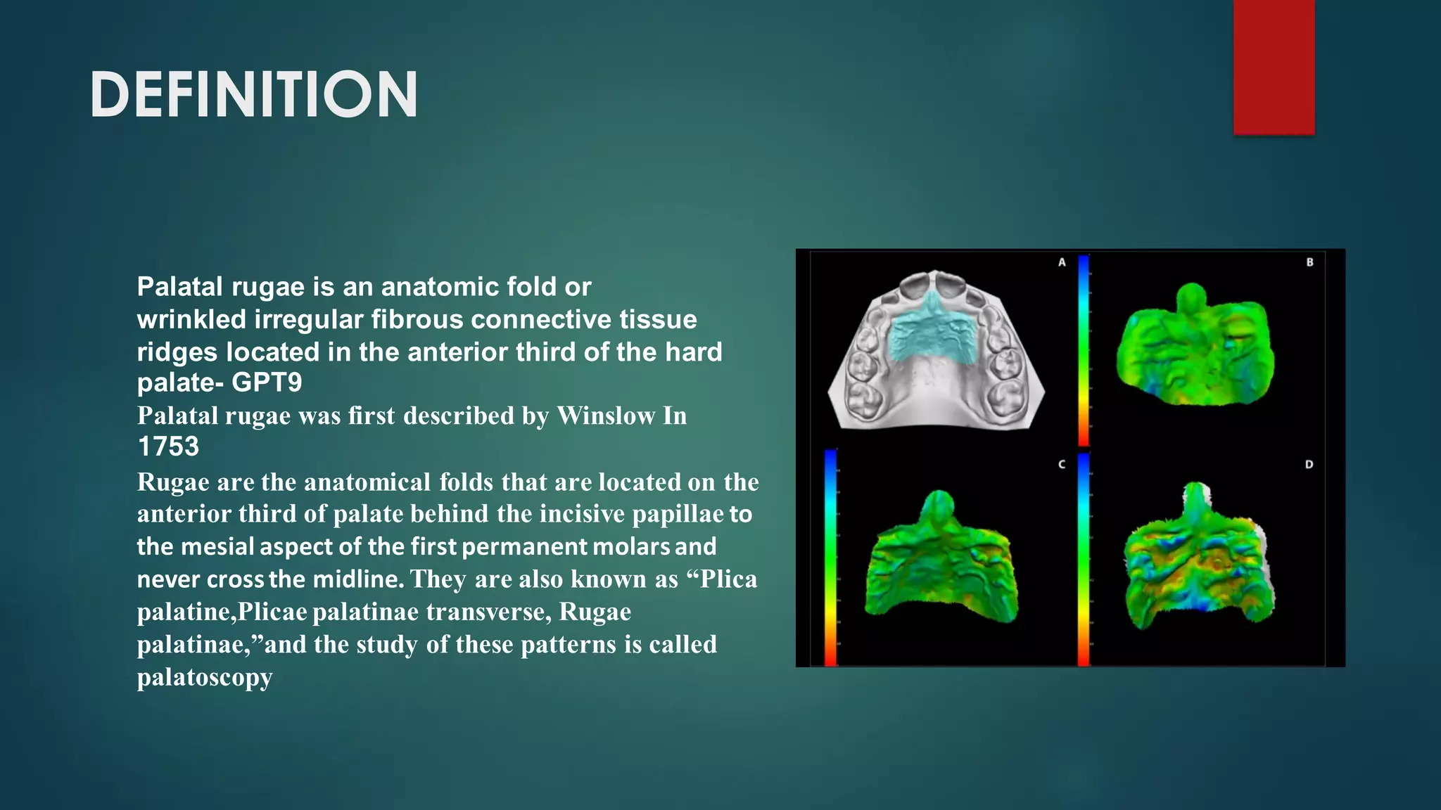 PALATAL RUGAE IN FORENSIC ODONTOLOGY | PDF