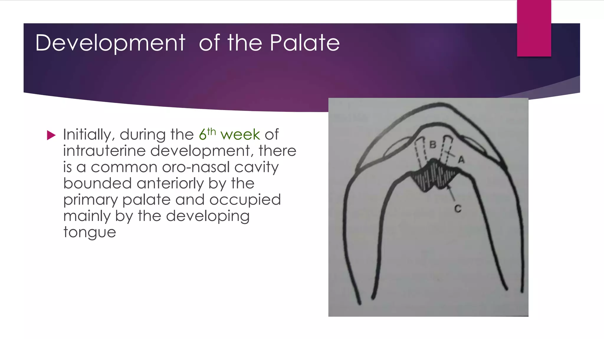Palate , by dr.parthsarthi gautam, MDS | PPTX