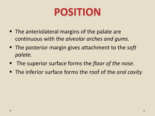 Palate PPT | PPTX
