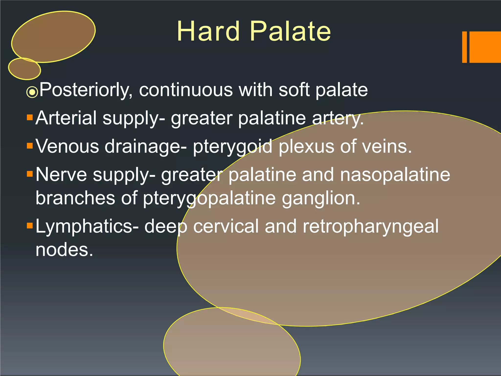 Palate.pptx