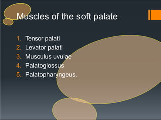 Palate.pptx