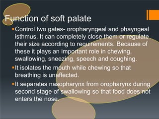 Palate.pptx