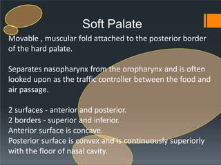 Palate.pptx
