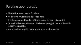 the palate - hard palate and soft palate | PPT