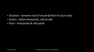 the palate - hard palate and soft palate | PPT