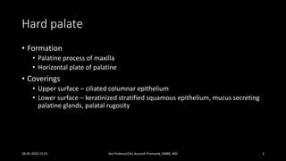 the palate - hard palate and soft palate | PPT