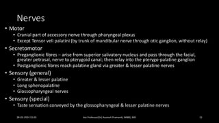 the palate - hard palate and soft palate | PPTX
