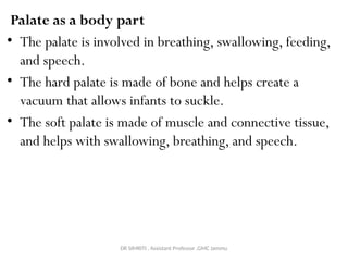 ANATOMY of HARD and SOFT PALATE. pptx | PPT