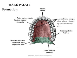 ANATOMY of HARD and SOFT PALATE. pptx | PPTX